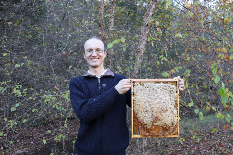 How to Be a Natural Beekeeper – Mother Earth News